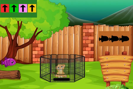 Congo Lion Cub Rescue - HiddenFan.com